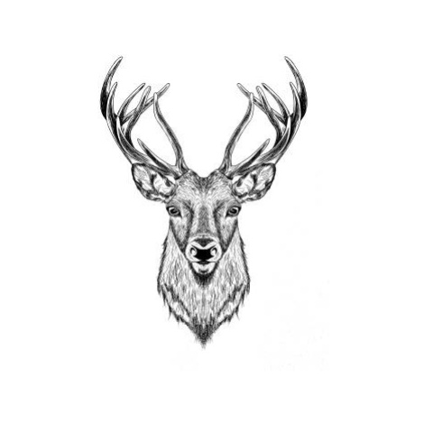 Jeleň kresba - Športová sukne - two in one | Modio.sk