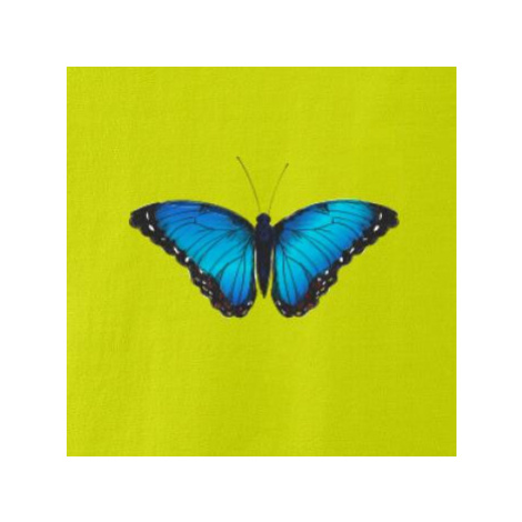 Motýľ Babôčka Morpho Peleides - Tielko triumph | Modio.sk
